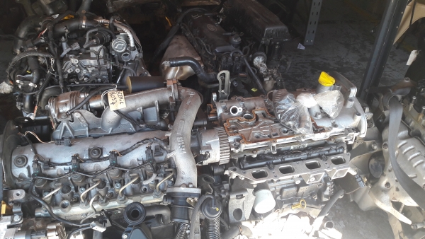 Renault Engine Parts - Parts Support